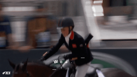 Horse Cantering Gif