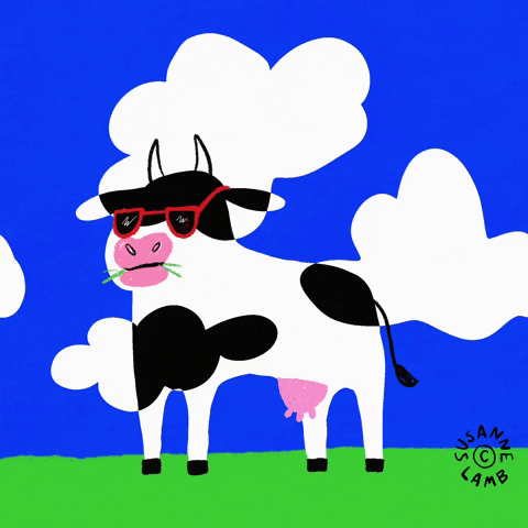 Cool Cow GIFs - Get the best GIF on GIPHY