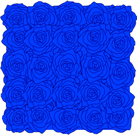 Blue Roses GIFs - Get the best GIF on GIPHY