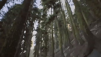 Oregon Trail Rally GIFs - Find & Share on GIPHY