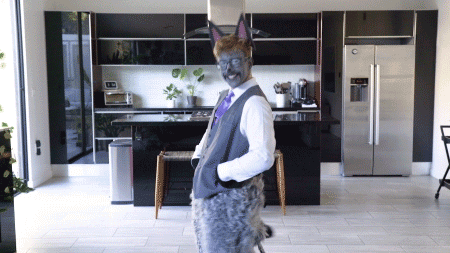 Group Halloween Costume GIFs - Get the best GIF on GIPHY