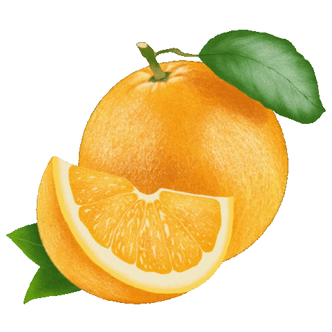 Orange Fruit Sticker for iOS & Android | GIPHY