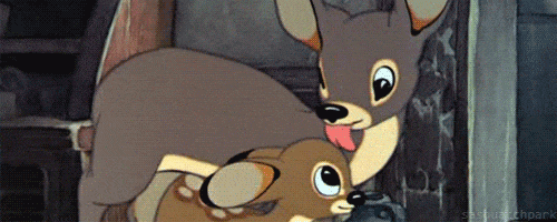Baby Deer GIFs - Find & Share on GIPHY