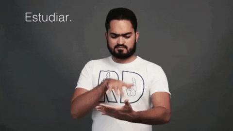 Asl Studying GIFs - Get the best GIF on GIPHY