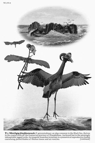 Gimkit - live learning game show