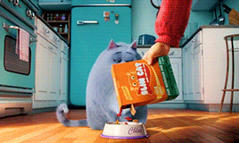 Life-of-pets GIFs - Get the best GIF on GIPHY