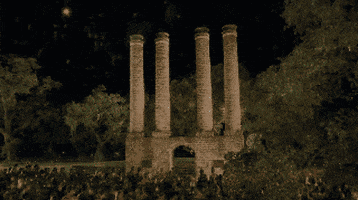 President Livingstone GIFs - Get the best GIF on GIPHY