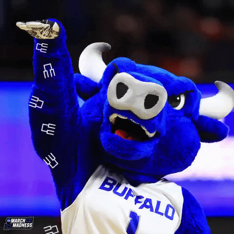 March Madness Brackets GIFs - Get the best GIF on GIPHY