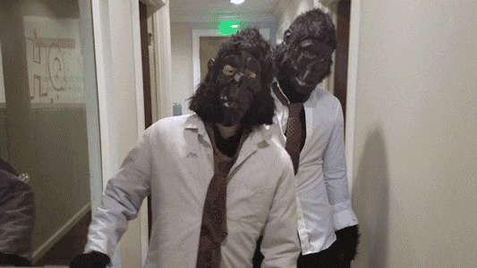 Harambe-go GIFs - Get the best GIF on GIPHY