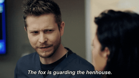 The Fox Is Guarding The Henhouse GIFs - Get the best GIF on GIPHY