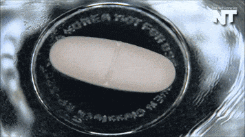 Dissolve Time Lapse GIF by NowThis - Find & Share on GIPHY