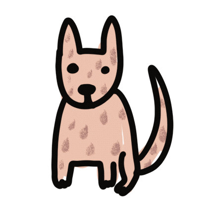 Muddy Dog GIFs - Get the best GIF on GIPHY