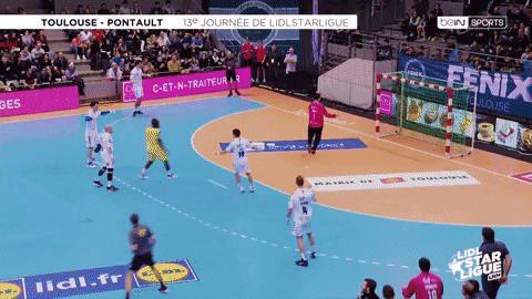 Toulouse Handball GIFs - Get the best GIF on GIPHY