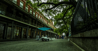 Central Louisiana GIFs - Find & Share on GIPHY