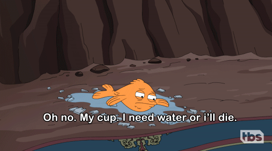 Tbsnetwork GIFs - Get the best GIF on GIPHY