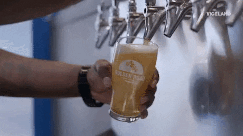 Beer GIF by BEERLAND - Find & Share on GIPHY