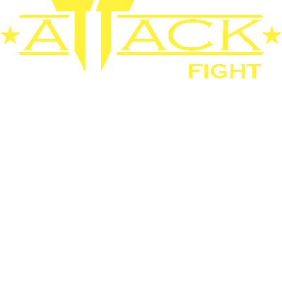 Attack Fight GIFs on GIPHY - Be Animated