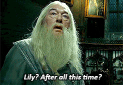 chapter7 | Tag | PrimoGIF