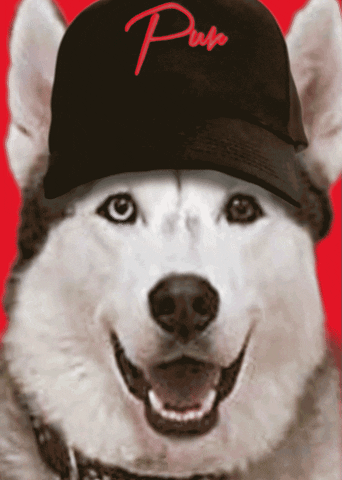 I Wuv You GIF by Pur Group Int. - Find & Share on GIPHY