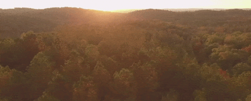 Peaceful Nature Landscapes by Entertainment GIFs | GIPHY