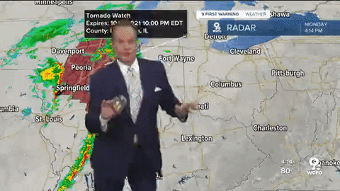 News-anchor-dance GIFs - Get the best GIF on GIPHY
