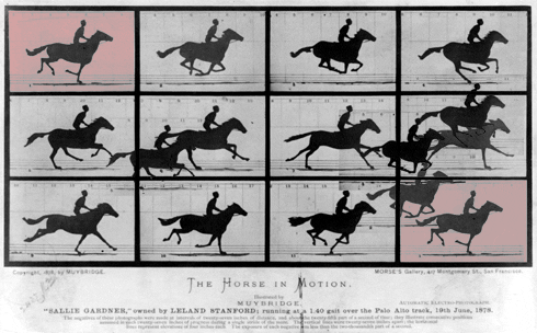 Second Try GIFs - Get the best GIF on GIPHY