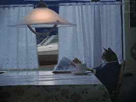 Boat Propeller GIFs - Find & Share on GIPHY