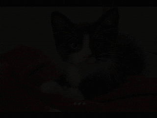 Haaaa GIFs - Get the best GIF on GIPHY