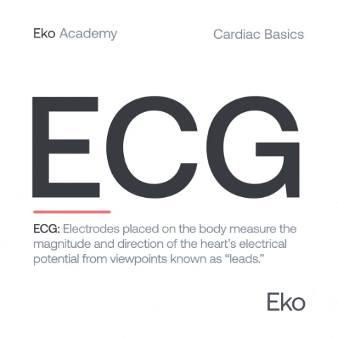 Abbreviations GIFs - Get the best GIF on GIPHY