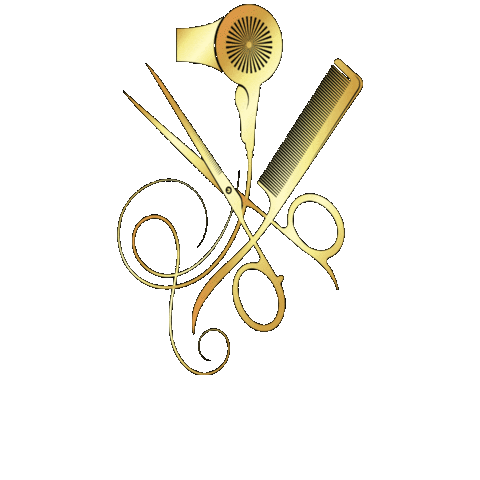 KG Hair Salon GIFs on GIPHY - Be Animated