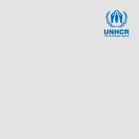 Un Human Rights GIFs - Find & Share on GIPHY