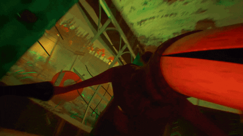 Give Chase GIFs - Get the best GIF on GIPHY