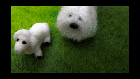 Pushing Through The Day GIFs - Get the best GIF on GIPHY