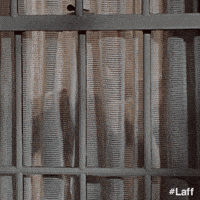 Peeking Through Window Funny