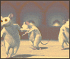 Dancing Mice GIFs - Find & Share on GIPHY