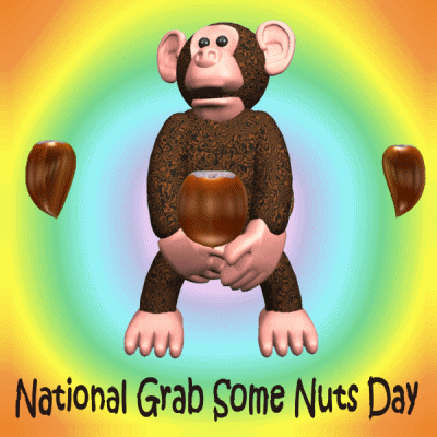 National-grab-some-nuts-day GIFs - Get the best GIF on GIPHY