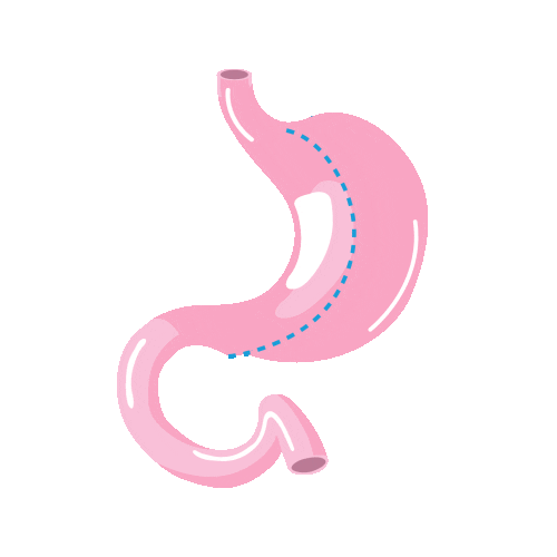 Be My Bariatric - Dr. Luis Zavala GIFs on GIPHY - Be Animated