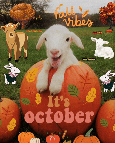 Goat-fall GIFs - Get the best GIF on GIPHY