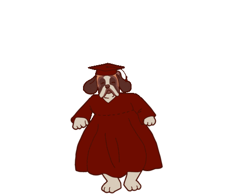 Graduation GIFs on GIPHY - Be Animated