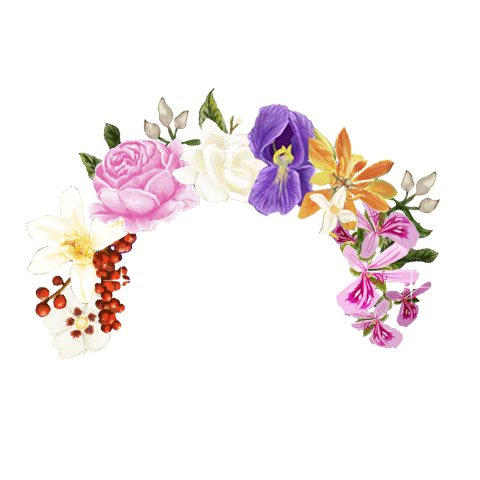Santa Maria Novella Flower Festival GIFs on GIPHY - Be Animated