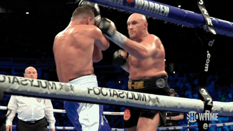 Wilder Fury GIFs - Get the best GIF on GIPHY