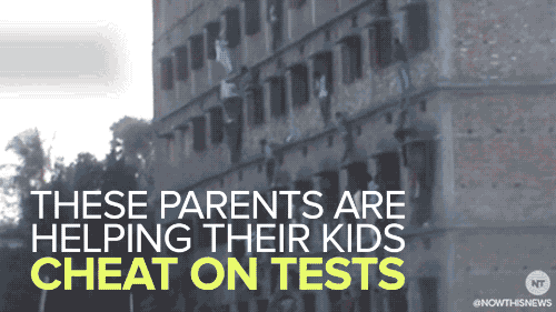 Standardized Tests GIFs - Get the best GIF on GIPHY