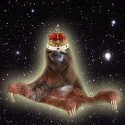 Sloth-king GIFs - Get the best GIF on GIPHY