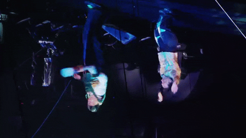 Circus Antics GIFs - Get the best GIF on GIPHY