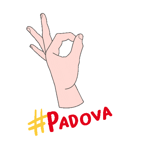 Padova Stikers GIFs on GIPHY - Be Animated