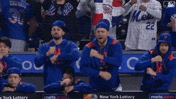 New York Mets GIFs on GIPHY - Be Animated