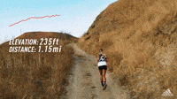 Hiking-trail GIFs - Get the best GIF on GIPHY