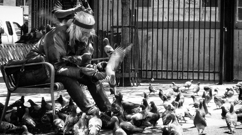 16Th St GIFs - Get the best GIF on GIPHY