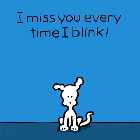 Dogs Love GIF by Chippy the Dog - Find & Share on GIPHY