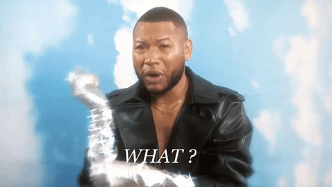 Excuse Me Reaction GIF by Hoshi Joell - Find & Share on GIPHY